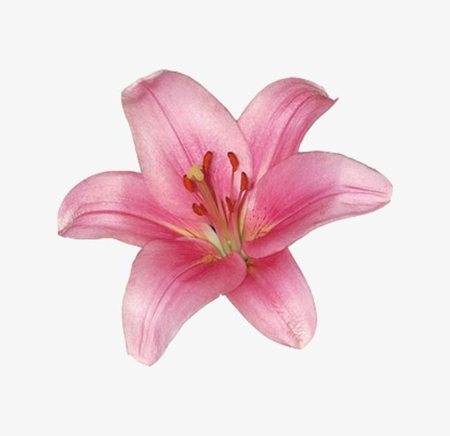 Shop Luxury Perfumes Online | House of Perfumes Singapore – House Of ...